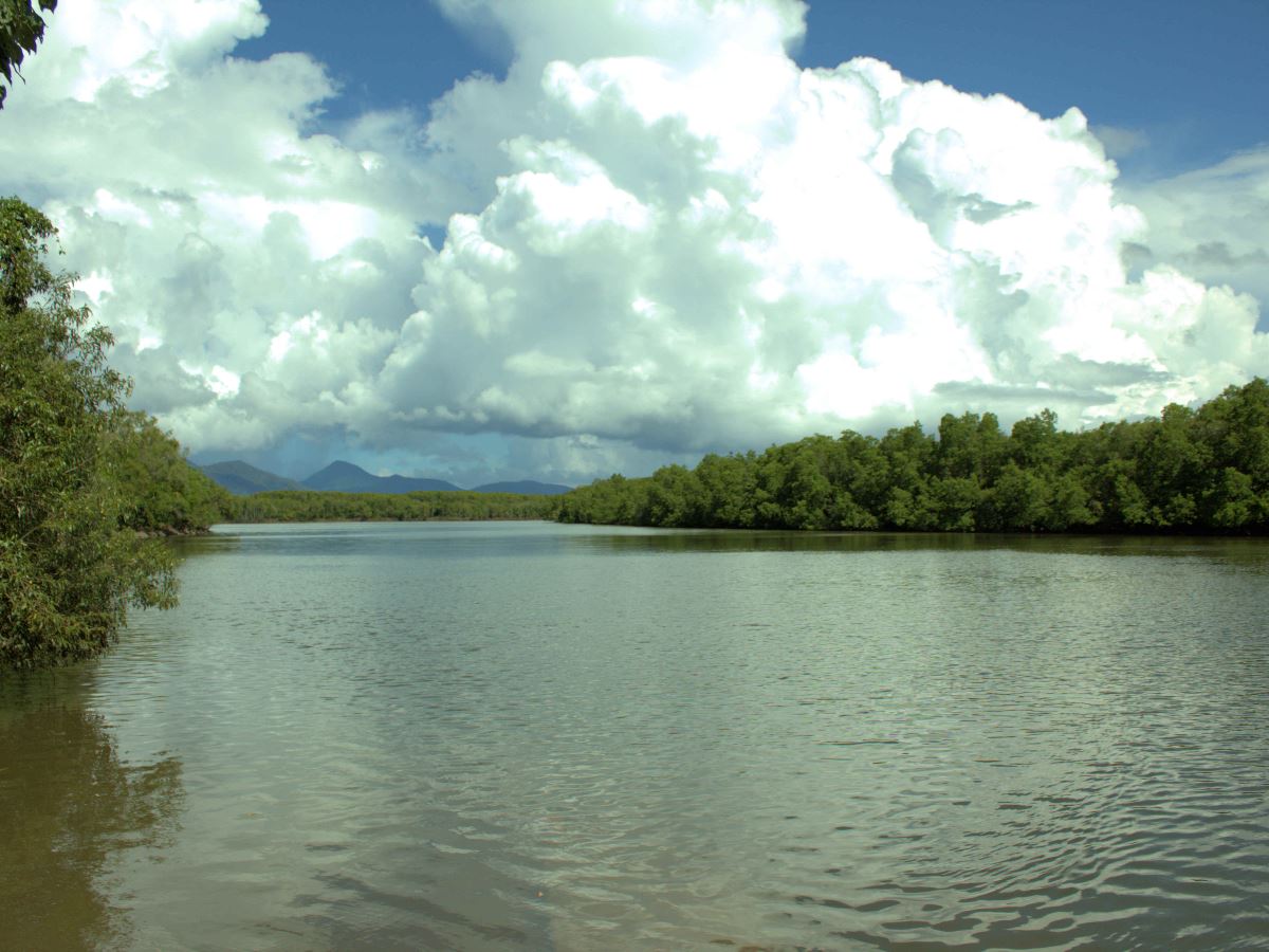 40 Barron River Esplanade, Machans Beach QLD, 4878 - Marsh Property